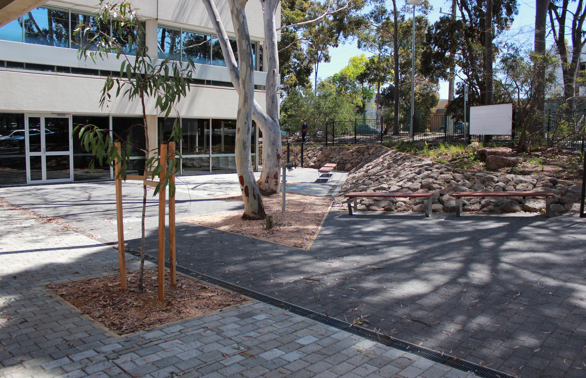 CSIRO Clayton Campus: Courtyard Upgrades - Ziebell Landscape Architecture